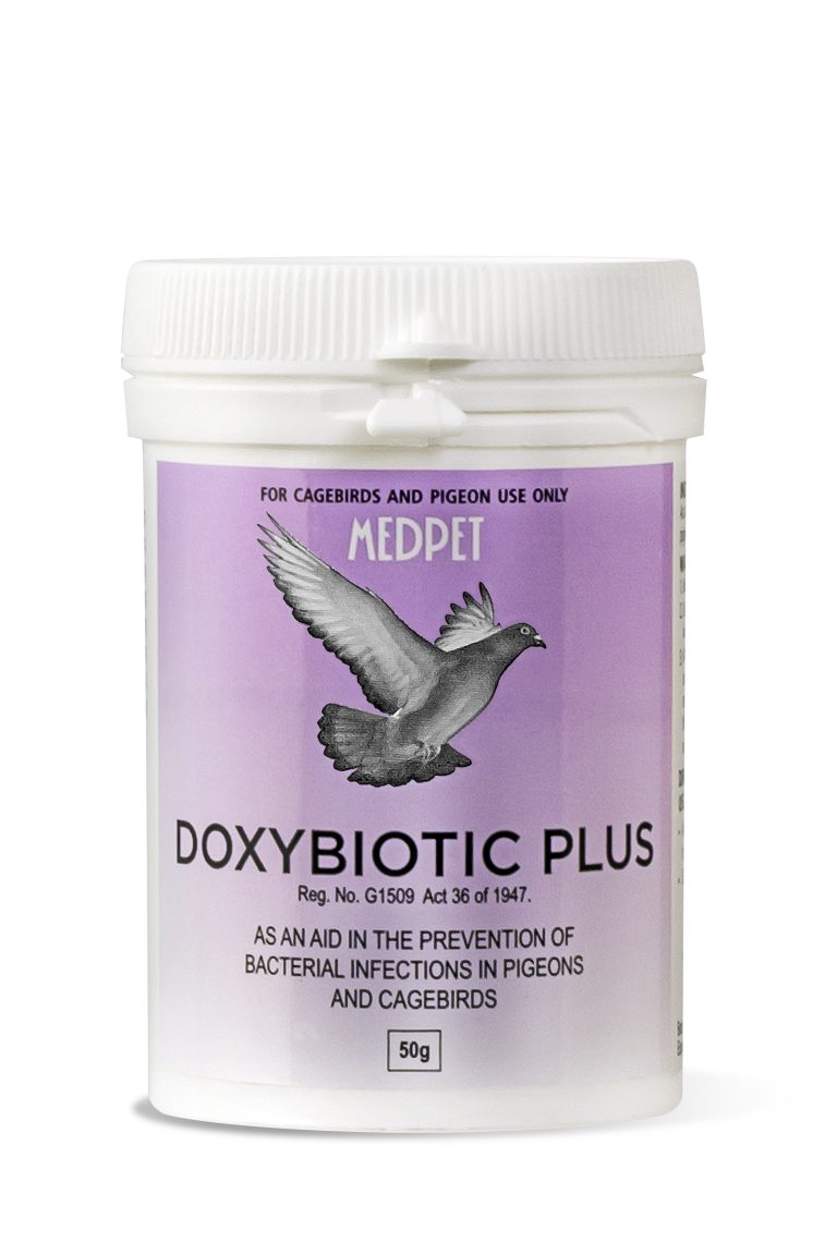 MEDPET DOXYBIOTIC-PLUS 50G | Turf Pet Hyper