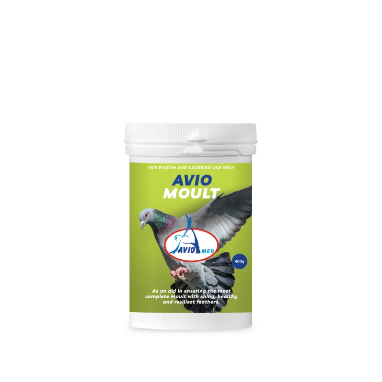 Racing Pigeon Medication Archives | Page 4 of 31 | Turf Pet Hyper