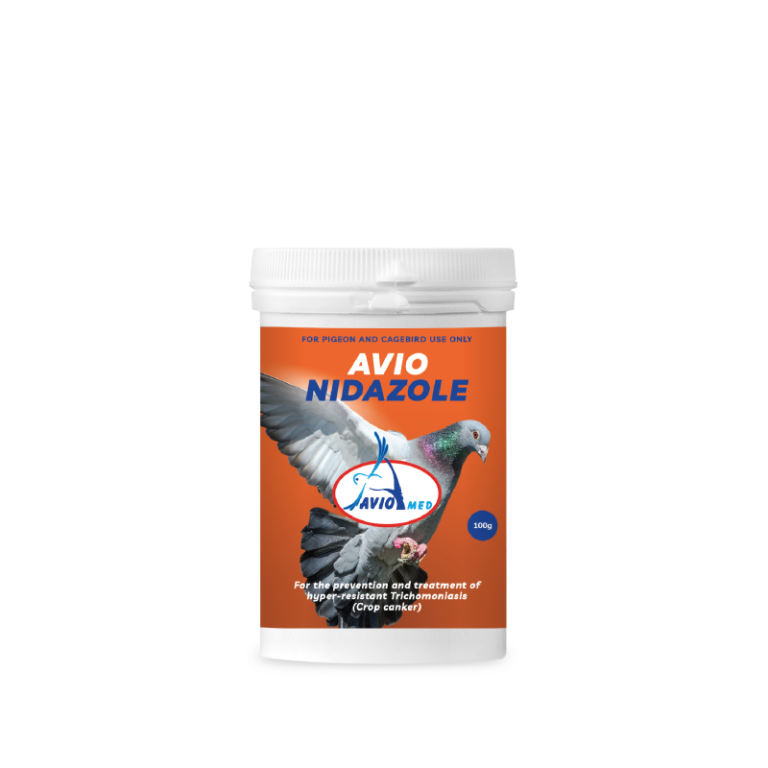 Racing Pigeons Archives | Page 5 of 31 | Turf Pet Hyper