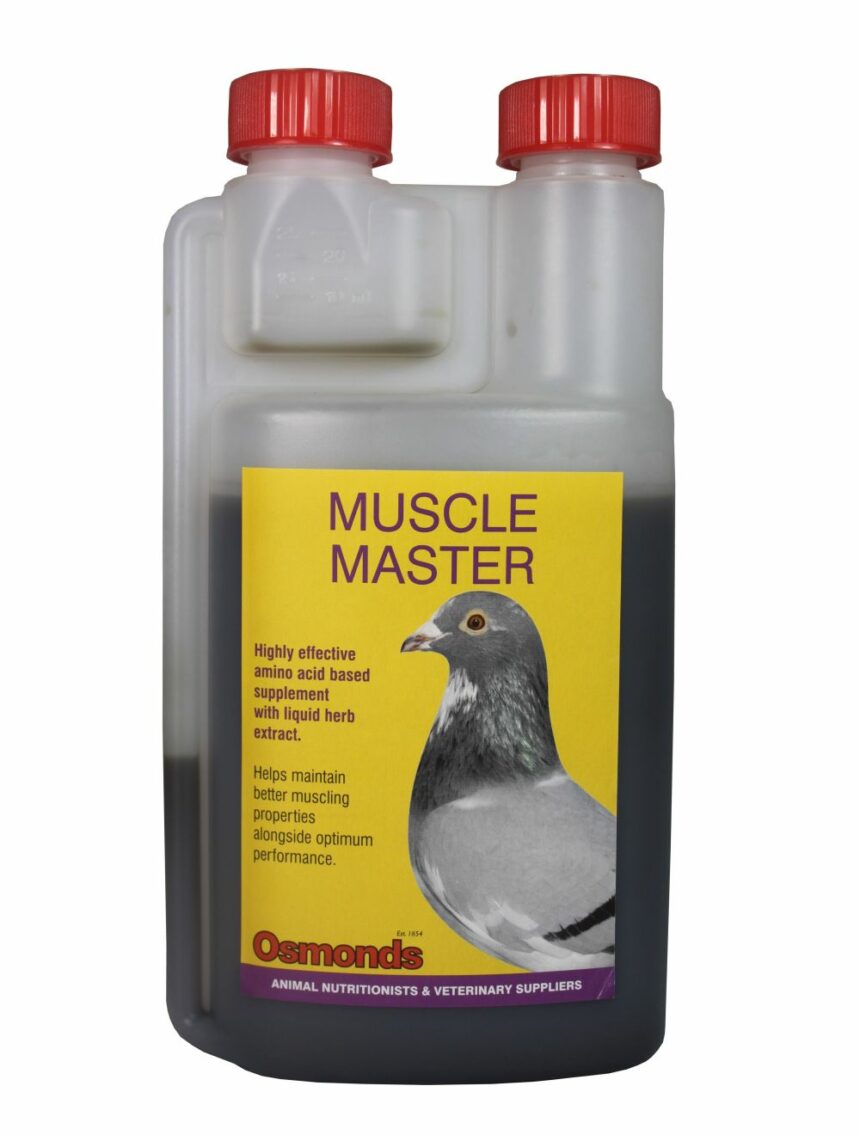 OSMONDS MUSCLE MASTER LIQUID 500ML | Turf Pet Hyper