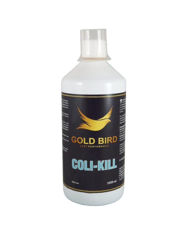 GOLD BIRD COLI-KILL 1000ML | Turf Pet Hyper
